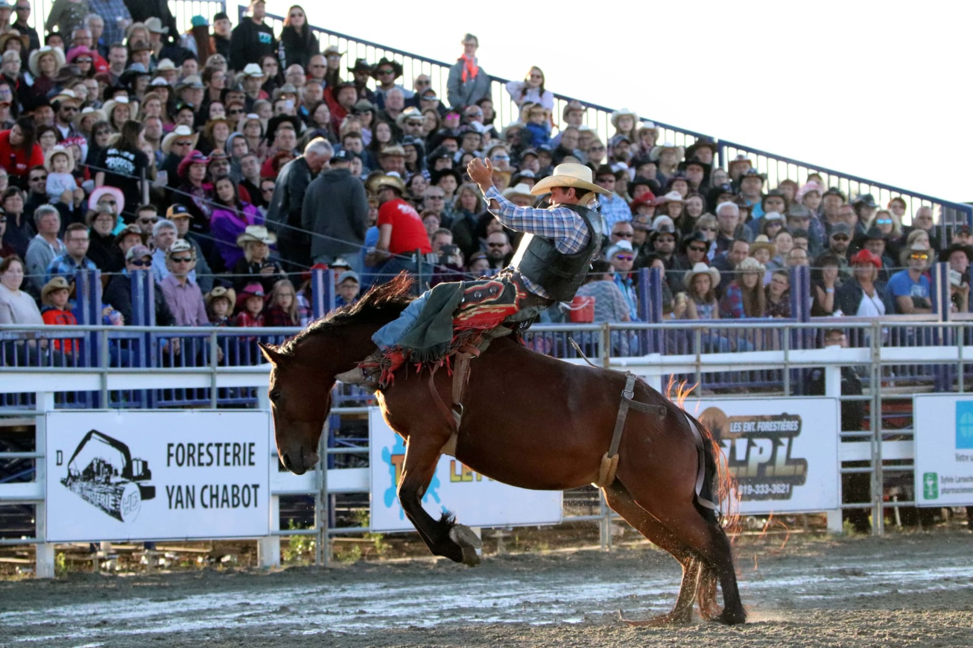Rodéo professionnel et Festival équestre 2025 | Ville de La Sarre